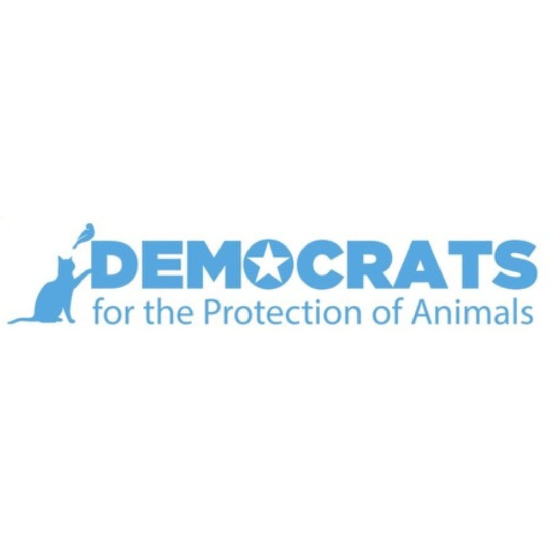 Jeannine Wisnosky Stehlin Endorsed by Democrats for the Protection of ...